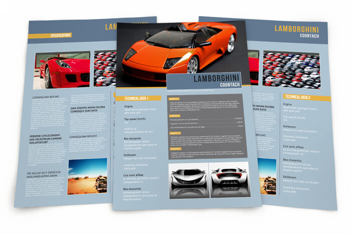 Vehicle DataSheet InDesign template. Download, make your own flyer.