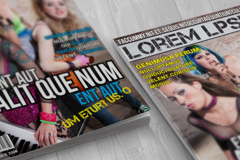 Grunge Music Magazine Cover Template - 1 Page Download