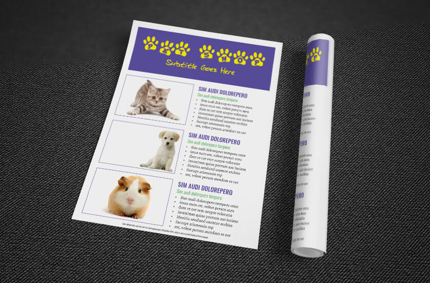 Pet Shop Flyer. One-page flyer layout with 3 image placeholders