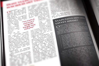 17 x 11 Tabloid Size - Political Newsletter Tabloid in InDesign