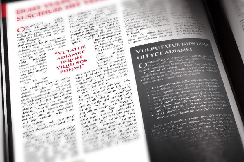 17 x 11 Tabloid Size - Political Newsletter Tabloid in InDesign