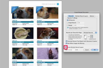 InDesign Data Merge - Use Spreadsheets To Create Documents