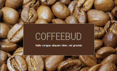 Coffee Product Catalog. 8 pages with descriptions and features table.