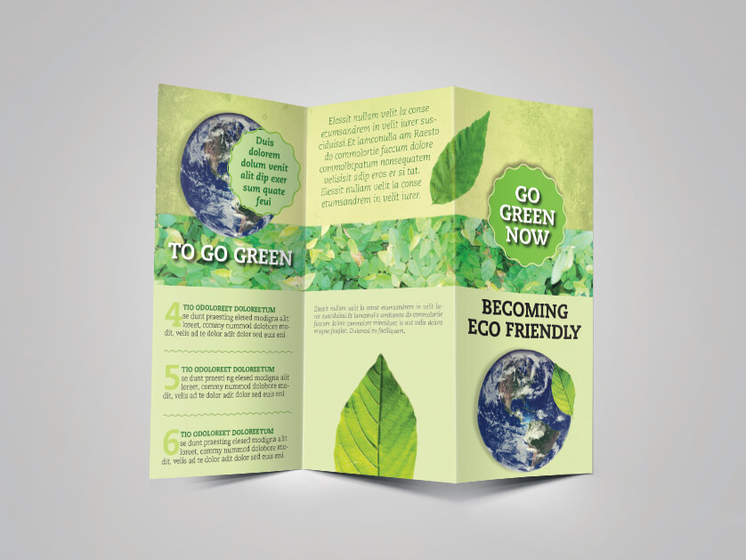 Green Brochure Template. Download, make your own tri-fold brochure.