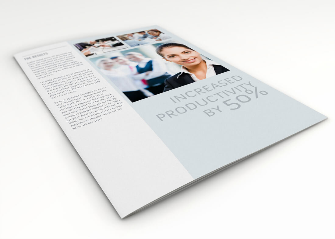 Success Story Case Study Template. Download Example with 4 pages.
