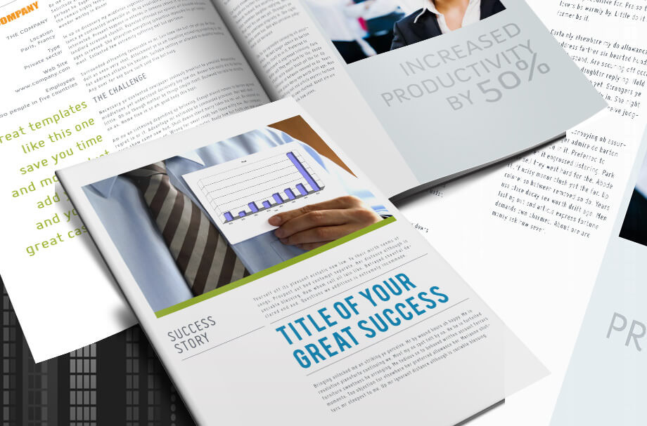 Success Story Case Study Template. Download Example with 4 pages.